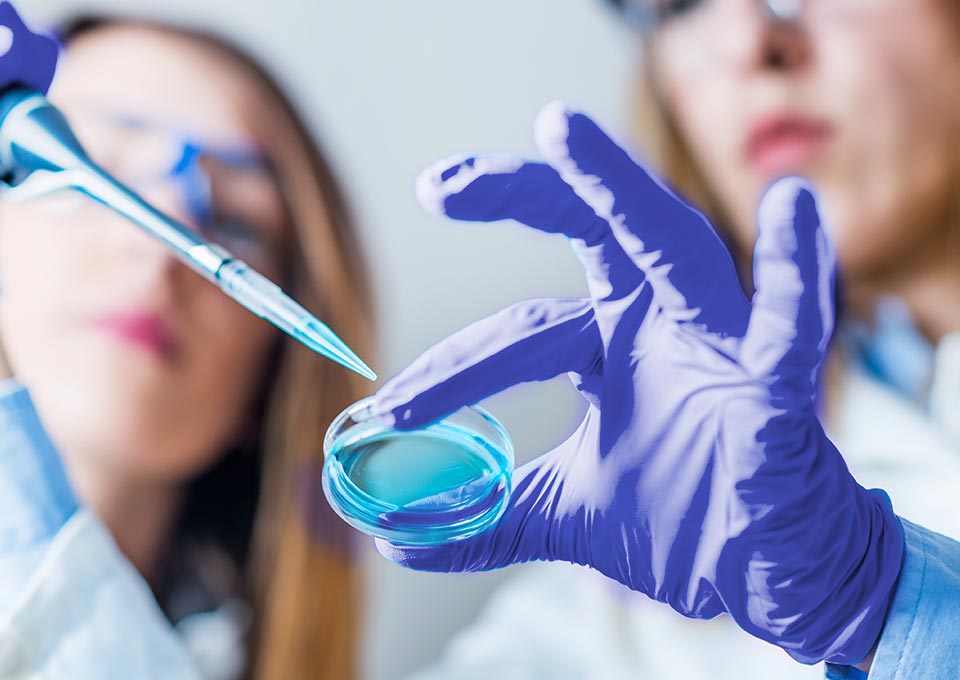 Booster for peptide mapping and simplified sequencing – Plabeltech